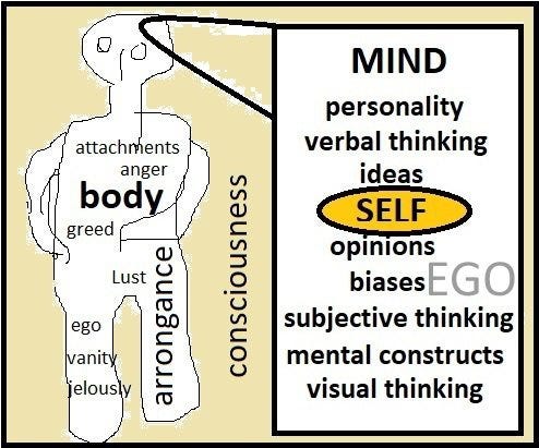 Mind Forensics. Ego and ego depletion. | by Siri Perera | Medium