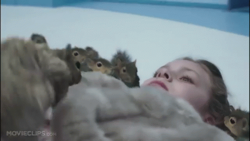 Glass, Squirrels, and Todd, Oh My! | by Lauren DeVries | Medium