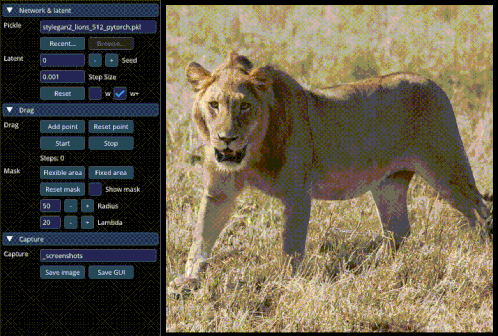 DragGAN: An Interactive Point-Based Manipulation Technique for Deep Generative Models | by AI ...