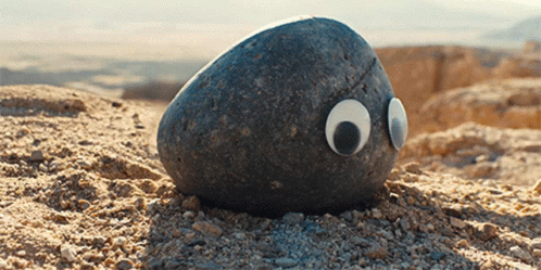 Join Me as I Build a Pet Rock AI in Python (Part 1) | by Shaun Fulton ...