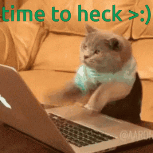 Script Kiddies, Unite! Exploring XSS with a Smile | by Atharva Thorkar ...