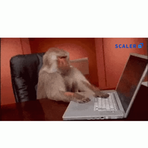 JavaScript Navigator API: Everything You Need to Know 🌍💻 | by Let's ...