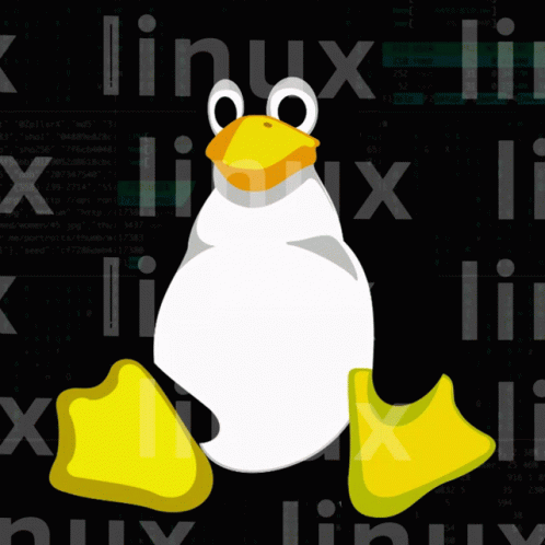 From Novice to Ninja: Unlocking Linux Permissions and Creating an ...
