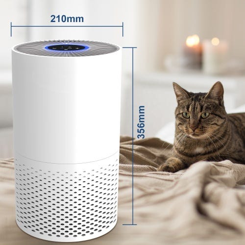Innovations in Pet Air Purifier Technology You Can’t Miss | by Adam B.W ...