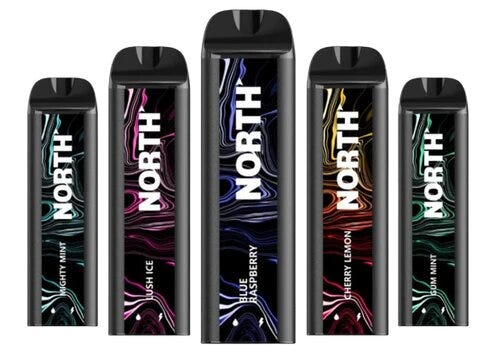 Exploring the Unmatched Convenience of North Disposable Vape: A ...