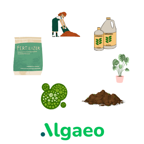 All About Algae Fertilizers. Algae fertilizers are natural and can ...