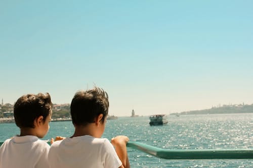 The Episodic Life. Season 1: Concealed Existence My… | by Lily backer ...