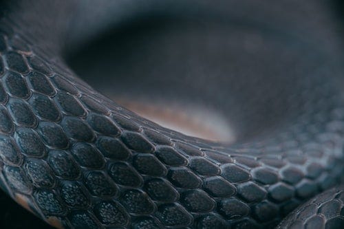 Introduction to SNAKEMAKE. Mental model (who does what?) | by Mandhri ...