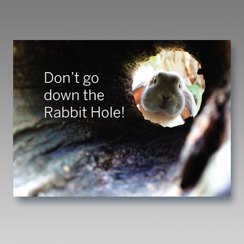 (Don’t Go) Down the Rabbit Hole!. By The Write One | by William Derek Ratliff | Aug, 2024 | Medium