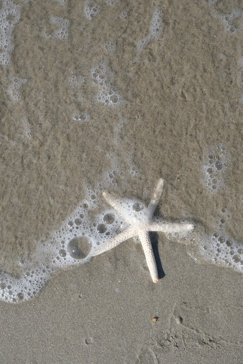 Keep picking up the starfish!. With so much around us, ahead of us ...