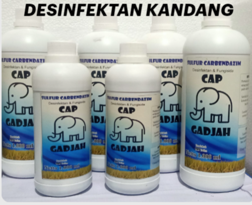 OBAT SEMPROT PENGHILANG BAU AMONIA KANDANG AYAM DESINFEKTAN SULFUR ...