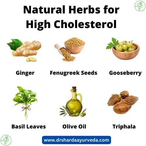 6 Herbs That Help in Lowering Your High Cholesterol Levels - Manjit ...