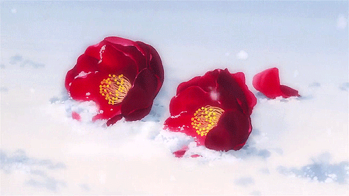 Withering Red. The deaths of a girl that was trying to… | by Cecillia ...