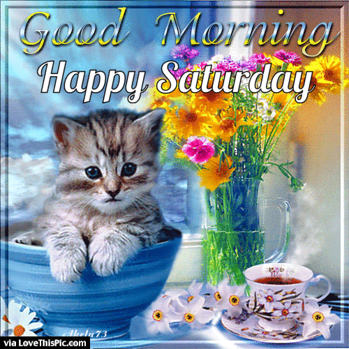 Best Happy Saturday Gif For Facebook | by Erica Gray | Medium