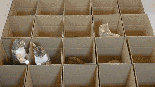 Herding cats and GitHub/GitLab issues | by Nik | Medium