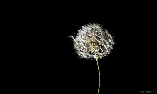 Breast Cancer Brain Metastasis(BCBM) | by Trinity Chau | Medium