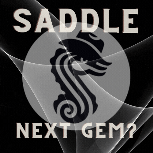 What are the key benefits of the SADDLE and why you need to get to know ...