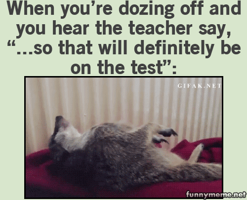 StudyStack — Learning Redefined. Stacked with upcoming exams, papers ...