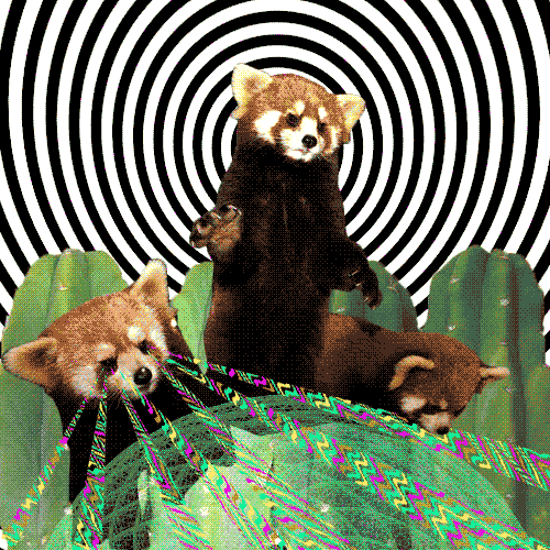 this was inspired by what the shit | by Alex Therien | Medium