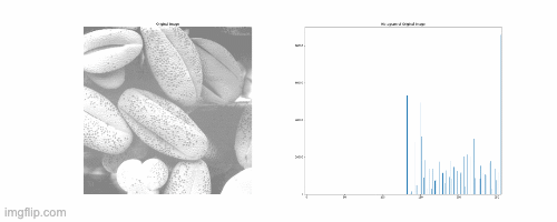 Histogram Equalization from Scratch | by Hardik Kamboj | Medium
