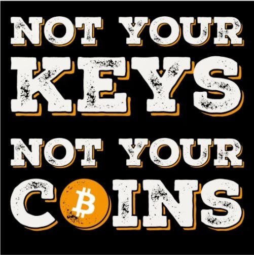 Not Your Keys Not Your Coins. Los gemelos #Winklevoss y la breve… | by ...