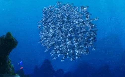 Swarm Agents (Part 1/2). The swarms are something really awesome… | by ...