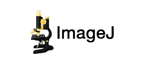 ImageJ — Ferramenta para perícia em Imagem | by Eloisa Potrich ...