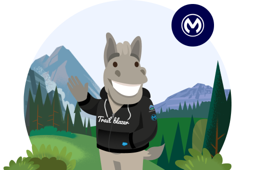 Preparing Your Mulesoft Application For Mule Runtime 4 6 0 By Alex