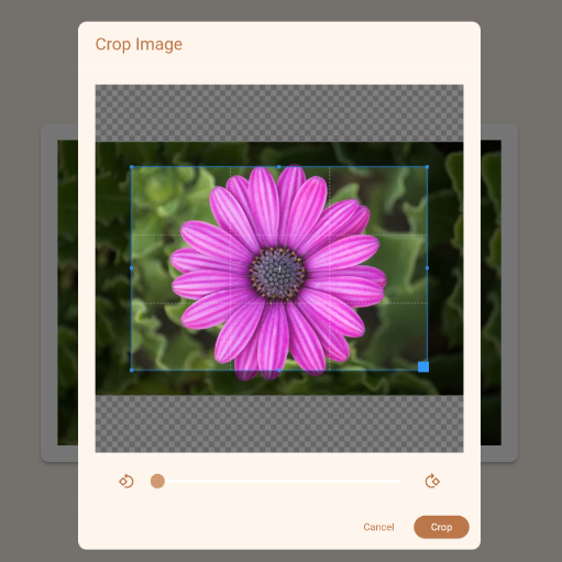 ️ Perfect Your Images in Flutter with image_cropper — The Ultimate Guide | by Developer Hub ...