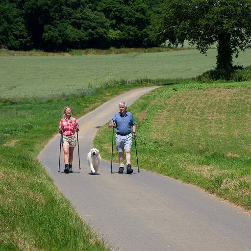 Choosing the Perfect Walking Cane: A Guide to Finding the Right Walking ...