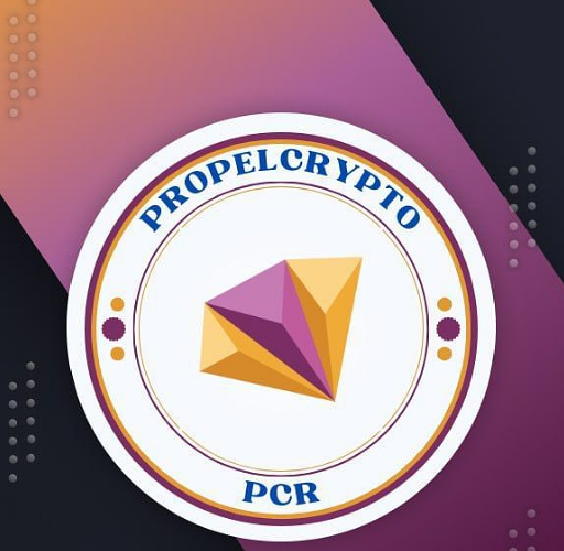 PropelCrypto. PropelCrypto | by Panggangan Areng | Nov, 2023 | Medium