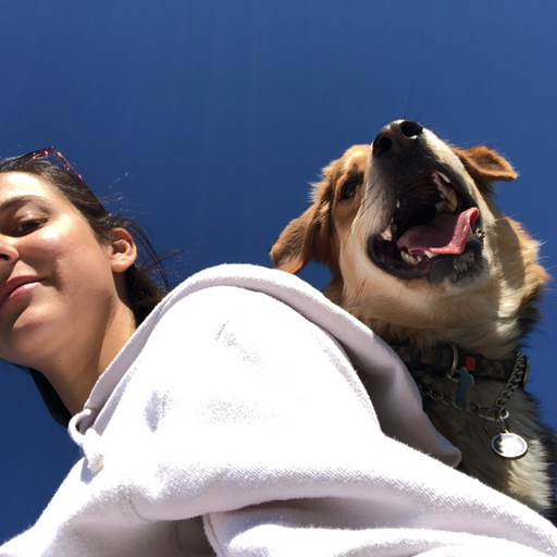 Danae’s Newsletter. Finding My Own Voice in a World of… | by The Product Lens by Danae | What’s ...