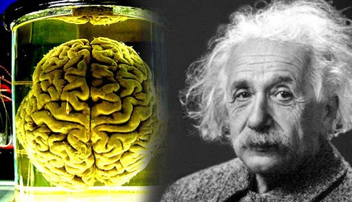 What did scientists do when Albert Einstein died? | by Aakrity Chapagai ...