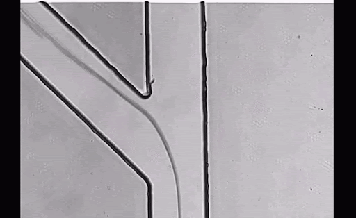 What is the world of Microfluidics? | by Fluigent Smart Microfluidics ...