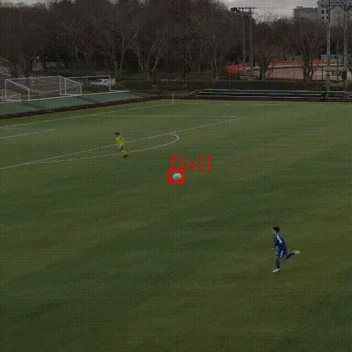 How to Implement YOLOv8 for Ball Tracking on Raspberry Pi with Google Coral: A Step-by-Step ...