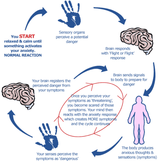 The vicious Anxiety Cycle CAN be broken! | by Pandora Dana | Medium