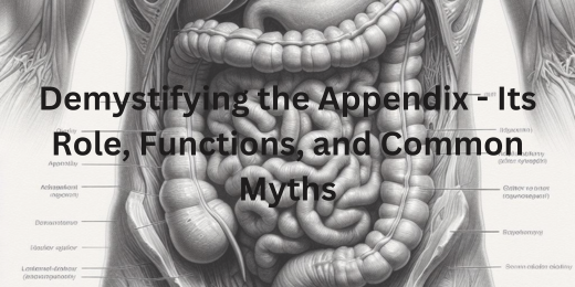 Demystifying the Appendix — Its Role, Functions, and Common Myths ...