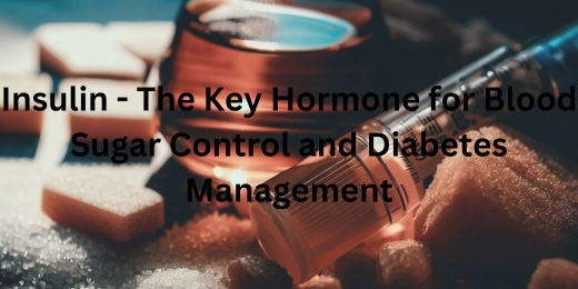 Insulin — The Key Hormone for Blood Sugar Control and Diabetes ...