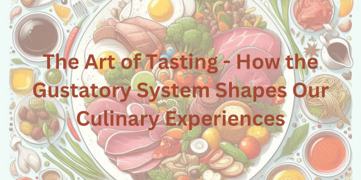 The Art of Tasting — How the Gustatory System Shapes Our Culinary ...