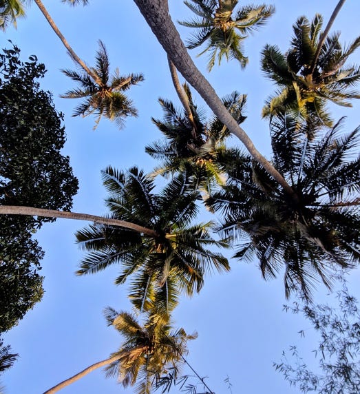 ANJUNA: A BOHEMIAN PARADISE. Have you ever wondered about the beauty ...