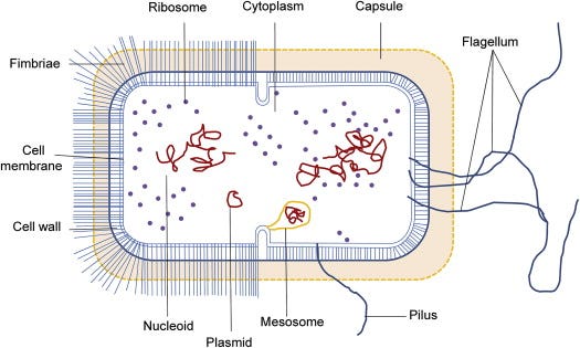 Earth’s Most Vital Resource is Also the Most Unsafe for Many | by Harvard Undergraduate ...