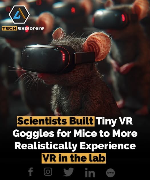 Scientists Built Tiny VR Goggles for Mice to More Realistically ...