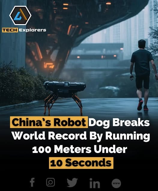 China’s Robot Dog Breaks World Record By Running 100 Meters Under 10 ...
