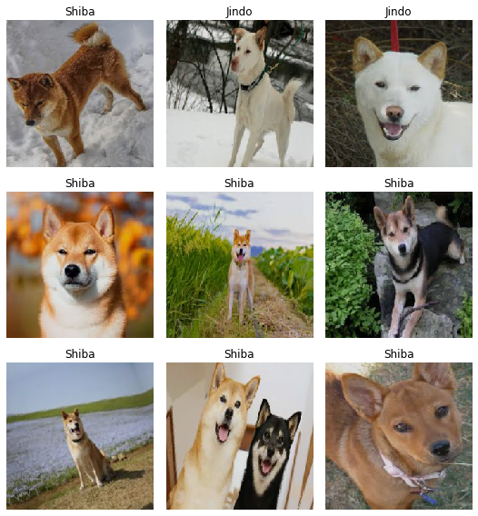 Is it a Shiba? Is it a Jindo?. Once upon a time I was sitting in on an ...