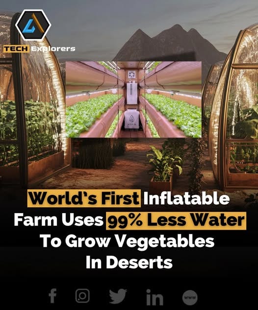World’s First Inflatable Farm Uses 99% Less Water To Grow Vegetables In ...