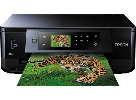 How to Upgrade to Premium Epson Printer Support | by Erik | Jul, 2024 ...