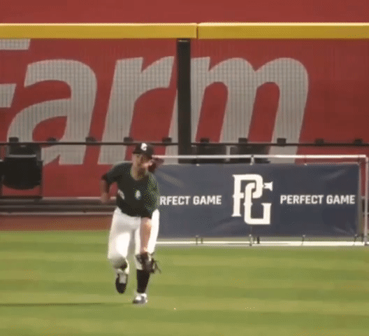 Fidentia. I can remember the feeling of… | by Jonathan Ramallo | Medium