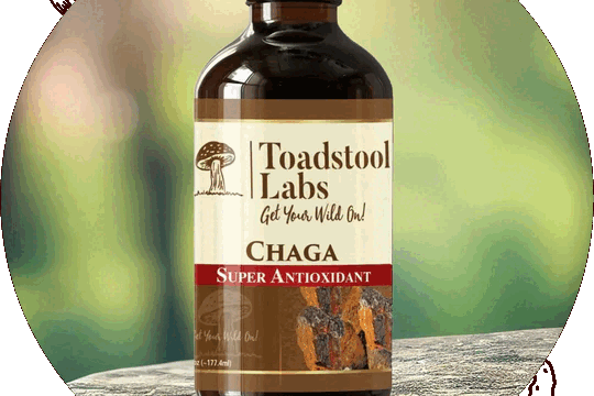 Boost Your Immunity with Real Mushrooms Turkey Tail by Toadstool Labs - Toadstoollabs - Medium