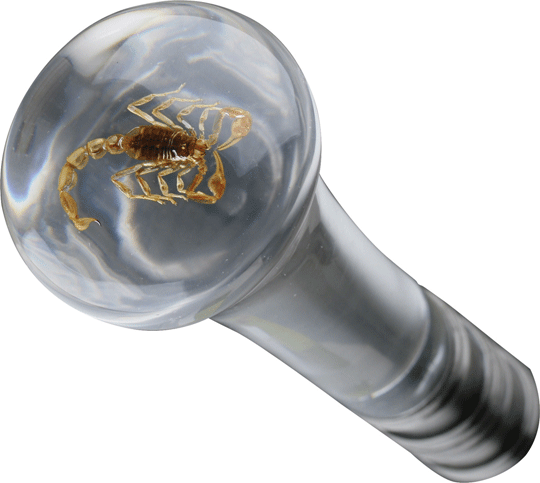 Real Scorpion Cane Sword. The Real Scorpion Cane Sword is a… | by ...