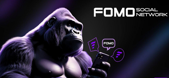 FOMO Network. FOMO Network | by Bunga Mawar | May, 2024 | Medium